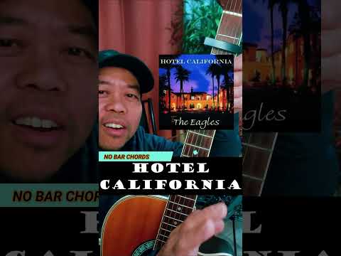 Hotel California Eagles No Bar Chords Guitar Lesson for Beginners #hotelcalifornia #guitarlesson