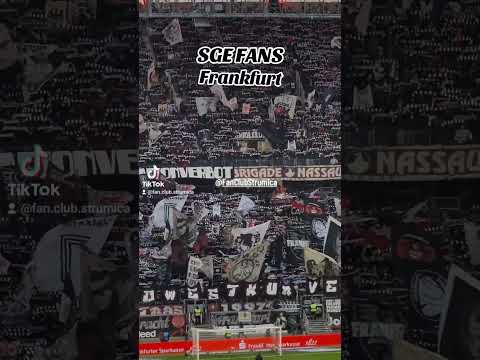 Fans von Eintracht Frankfurt #SGE #fan #eintrachtfrankfurt #frankfurt