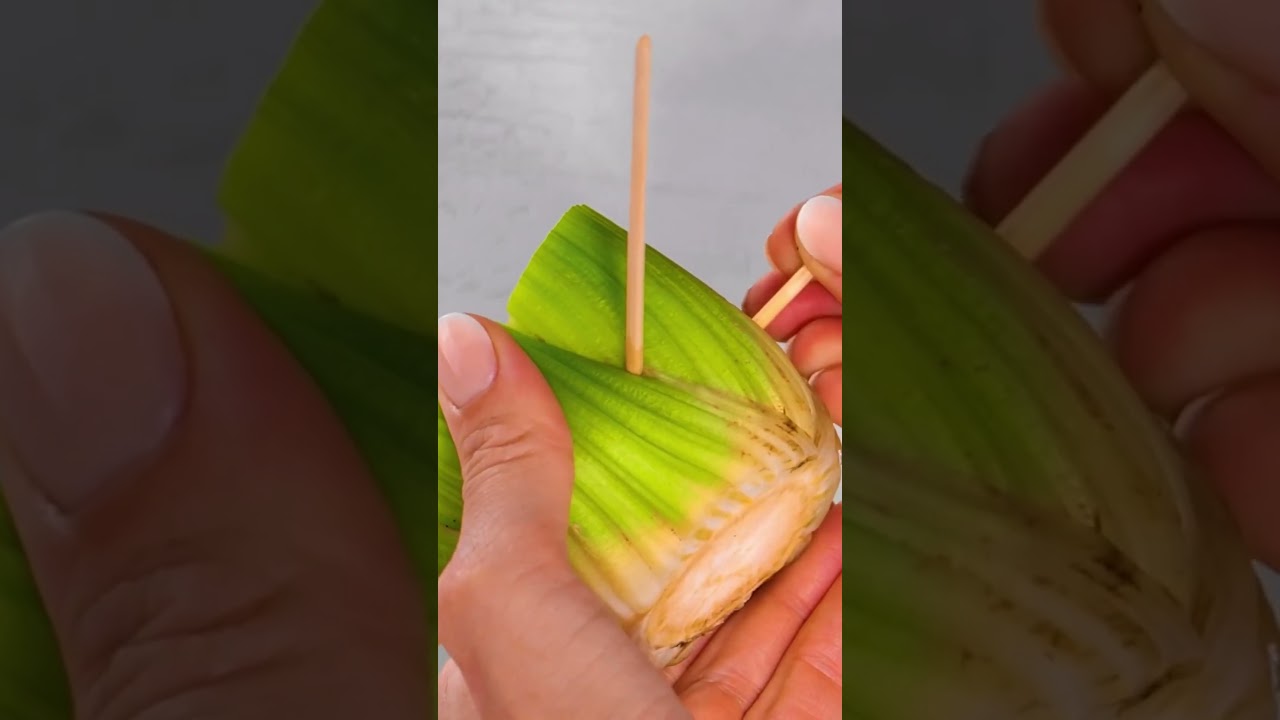 5 Easy Gardening Hacks That Actually Work 🌱 | Grow Plants at Home