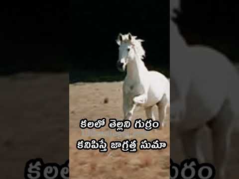కలలో తెల్లని గుర్రం కనిపిస్తే జాగ్రత్త సుమా! 🤔#shorts #whitehorse #dosubscribe #dreams