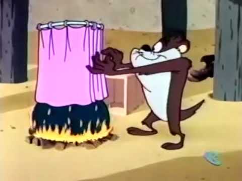 Toon Heads Trivia #34 - Taz's Nickname