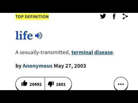 URBAN DICTIONARY EXPLAINED||URBAN DICTIONARY FUNNY NAMES MEANING