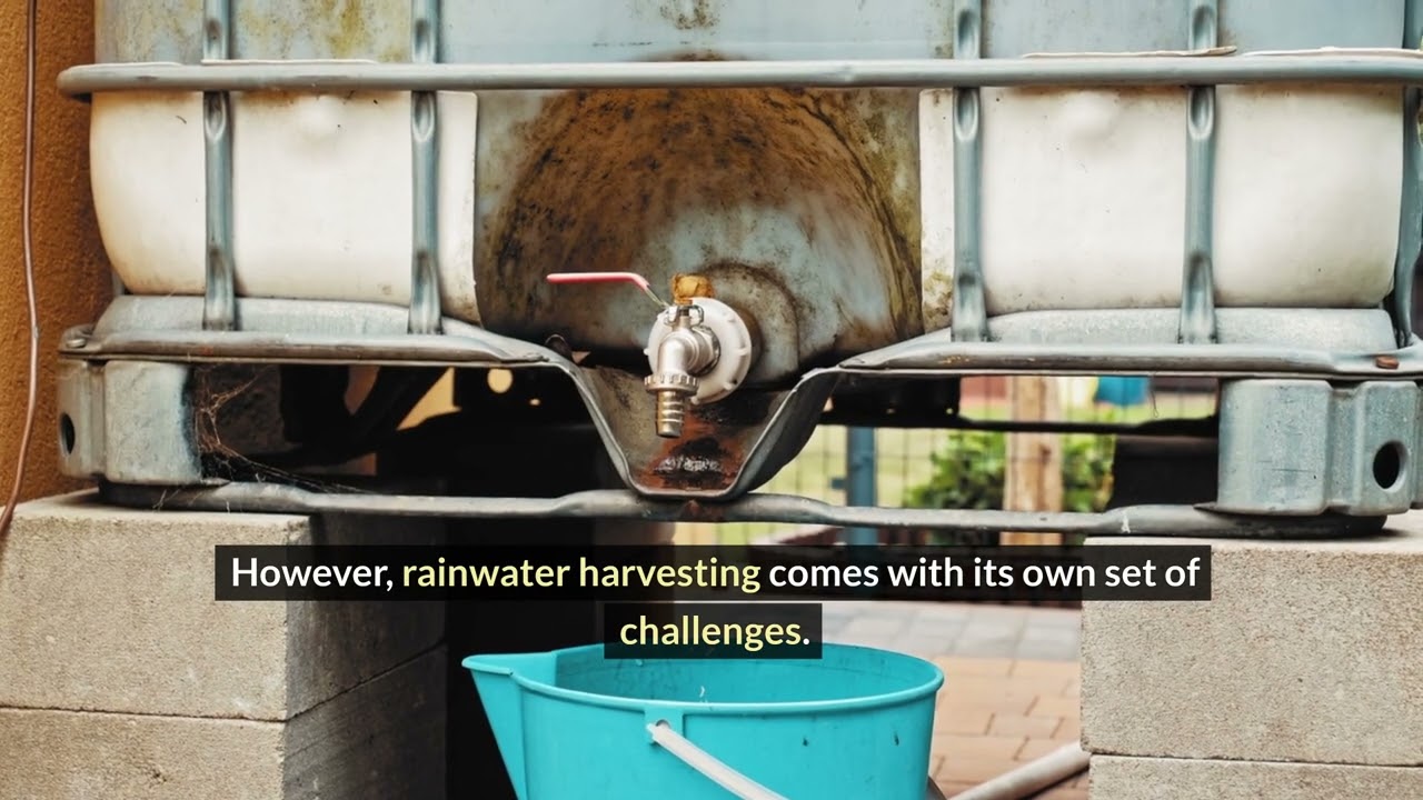 Rainwater Harvesting: Advantages and Disadvantages of Collecting Rainwater from Your Roof