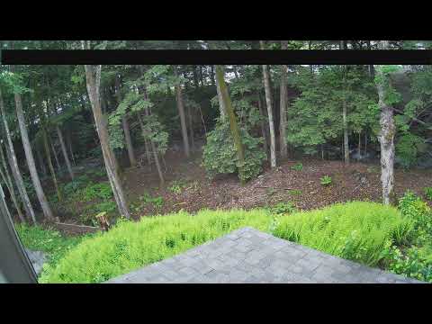 2025-06-10 Brookside Getaway