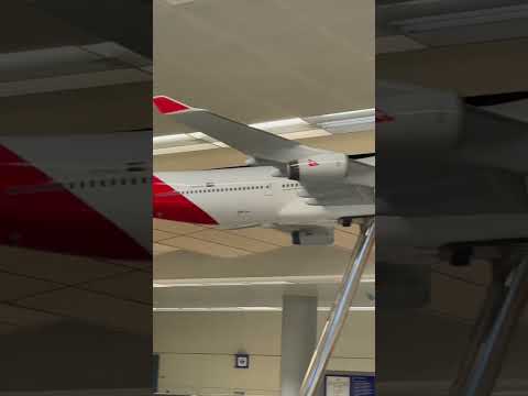 Qantas B747 closeup “flying” takeoff! I want one! 🤩🛩 #boeing #airplane #airport #cool #wow