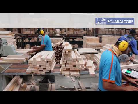 Indubalcorp Balsa Wood Process