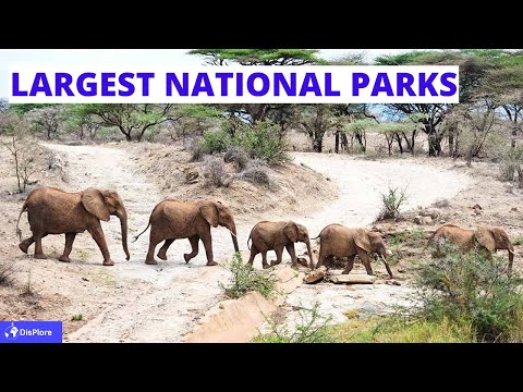 Top 10 Largest National Parks and Game Reserves in Africa
