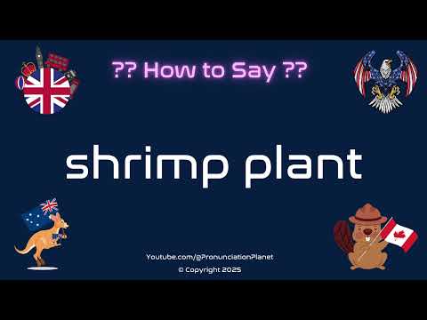 🍤 🌿 How to Pronounce shrimp plant? (CORRECTLY) | Pronunciation Planet