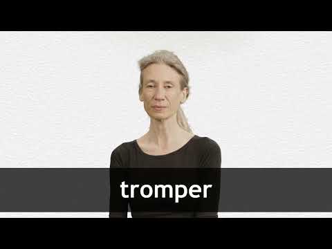 English Translation of “TROMPER” | Collins French-English Dictionary