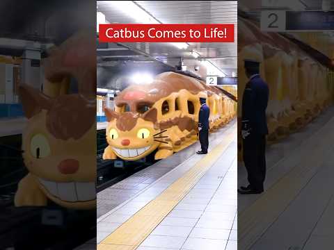 Catbus Comes To Life?! #ghibli #myneighbourtotoro #japan #anime