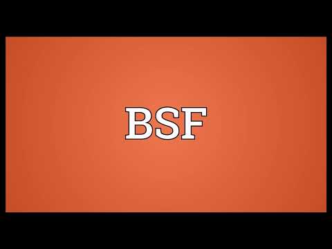 BSF Meaning