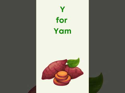 Words That Start With Y-Learn English Alphabets