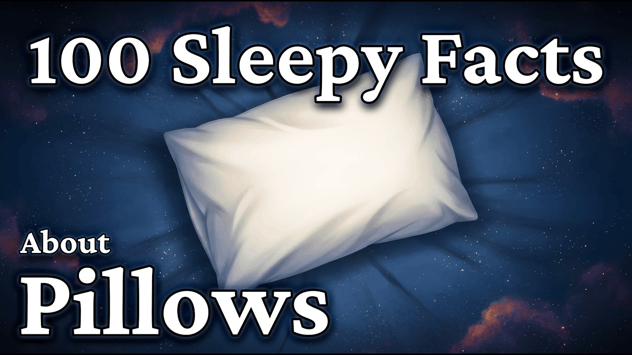 Why We No Longer Sleep on Rocks & Porcelain — The Strange History of Pillows