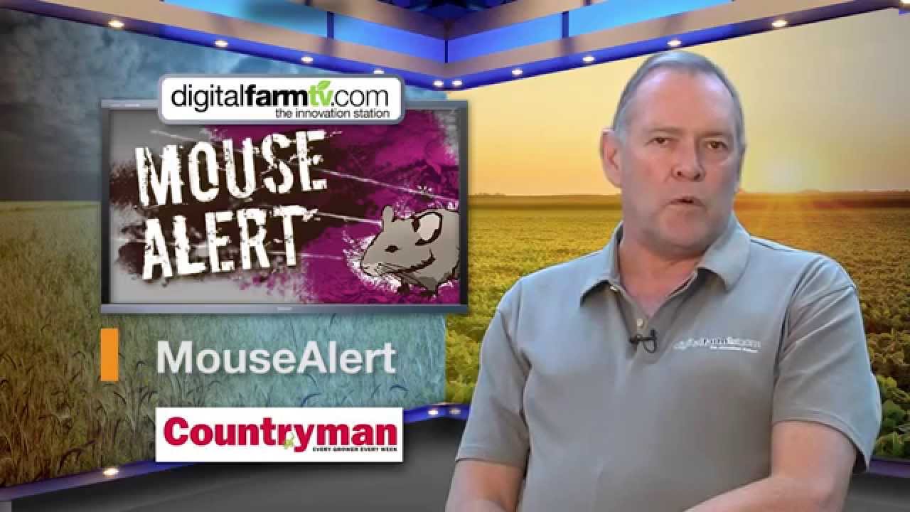 MouseAlert for monitoring mouse activity