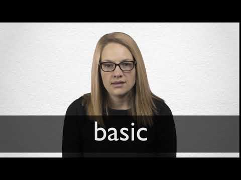 BASIC definition in American English | Collins English Dictionary