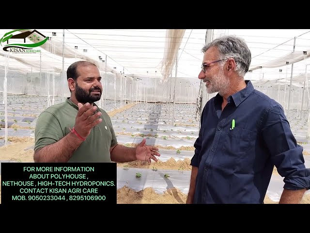 Shade Net - Black Nursery Shade Net Trader - Retailer from Asandh