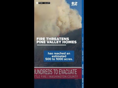 Forsyth Fire jumps to 1,000 acres; Pine Valley evacuation order remains in place