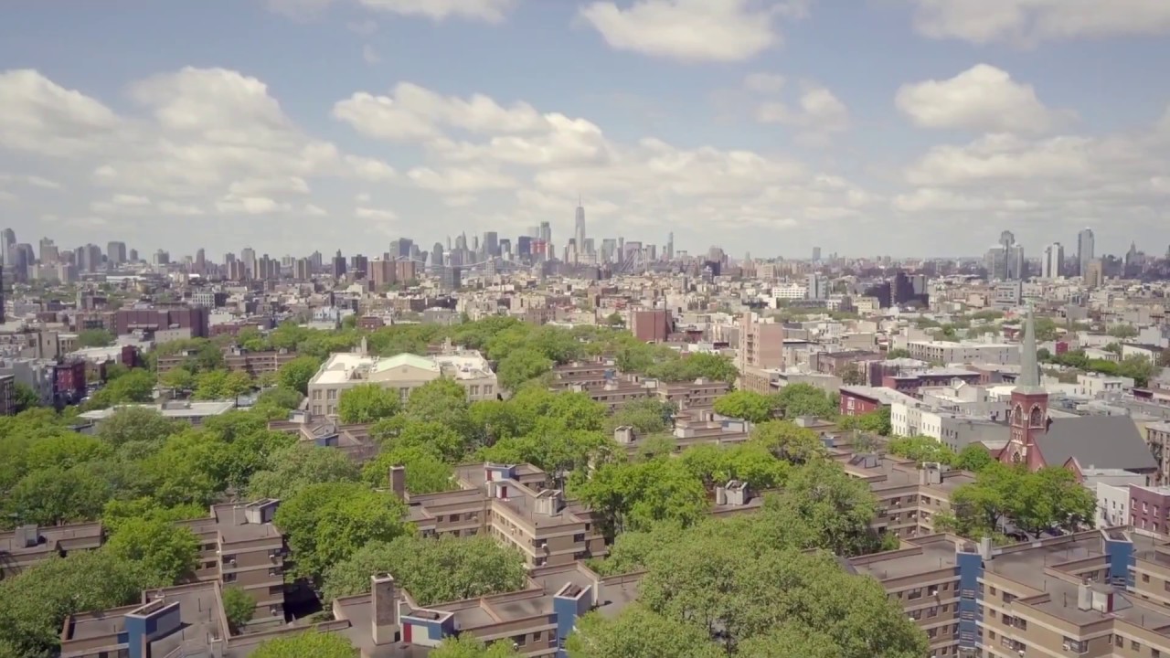 Population Health Collaborative