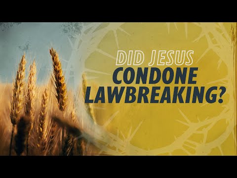 Did Jesus Condone Lawbreaking? | Why Jesus?