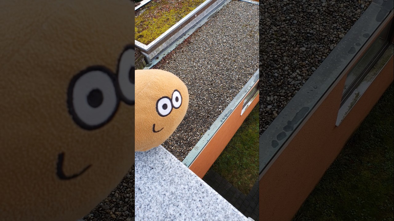 Pou falls far down the stairs 😂🤕 #pou #plushie #plushtoy