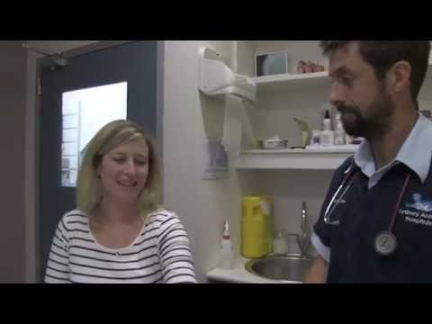 Sydney Animal Hospitals Newport - Jack the Cat meets a tick