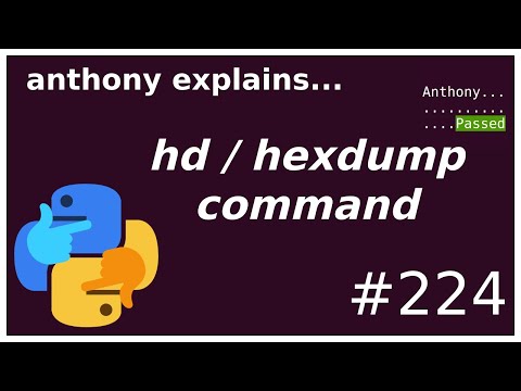 showing actual file bytes with hexdump (beginner - intermediate) anthony explains #224