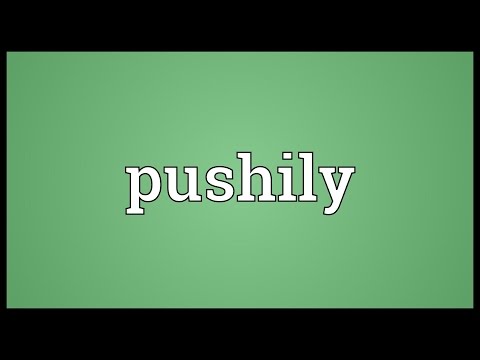 Pushily Meaning