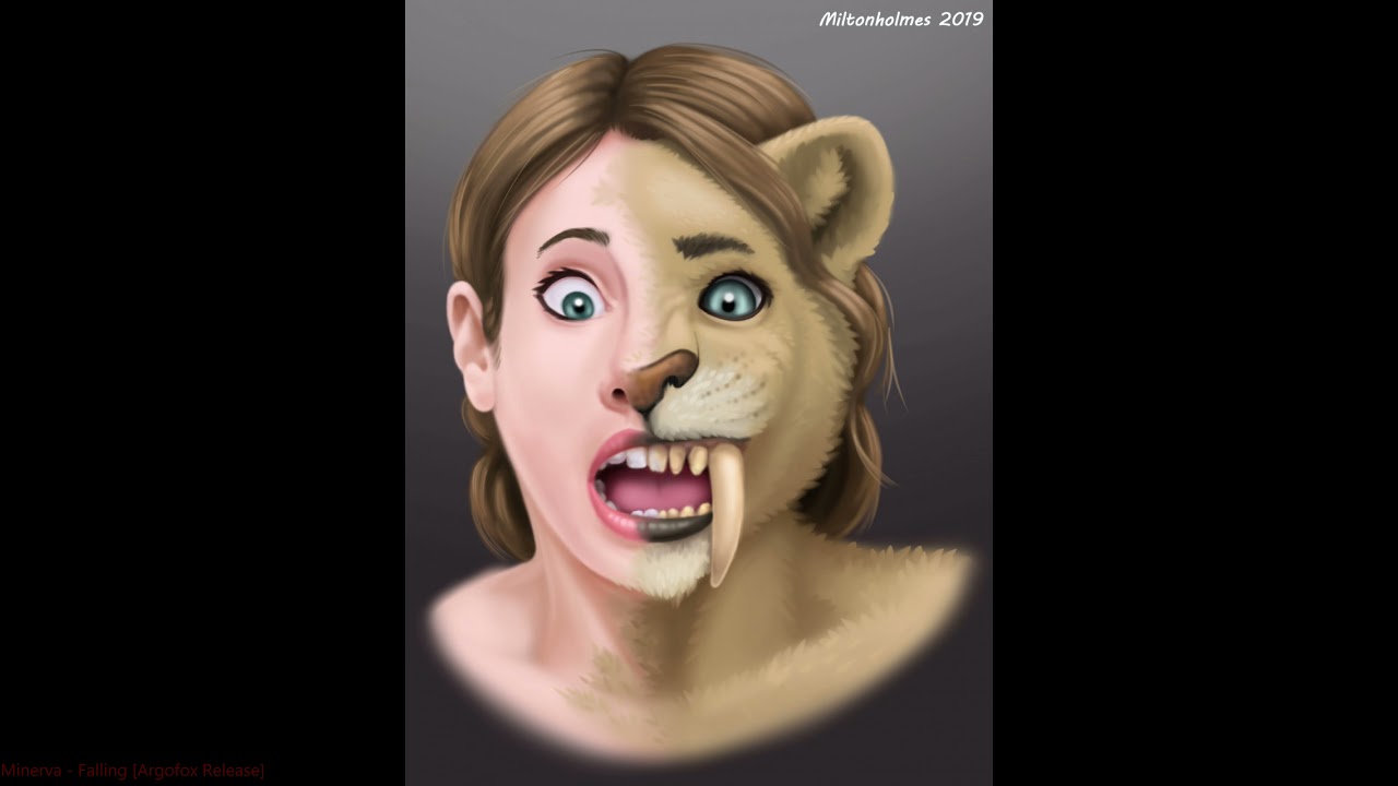Feline tfs (part 2)