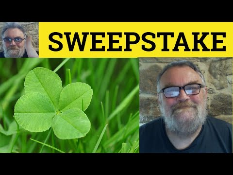 π Sweepstake Meaning - Sweepstake Defined - Sweepstake Examples - Sweepstake Definition - Sweepstake