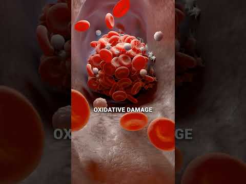 Increase Blood Platelets Fast with These 4 Natural Foods