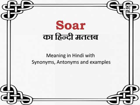 Soar in Hindi | Soar ka matalab hindi me kya hai | Soar ka hindi matalab|