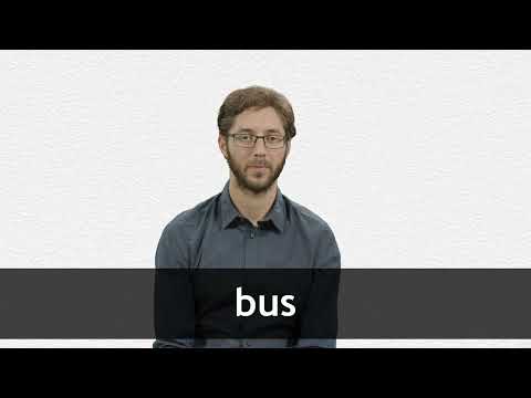 English Translation of “BUS” | Collins French-English Dictionary