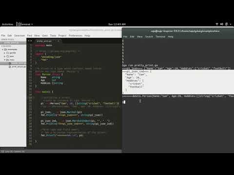Go Golang pretty print struct