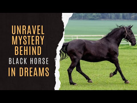 🐎Dream Dictionary Black Horse | Dream Interpretation Of Black Horse Symbolism