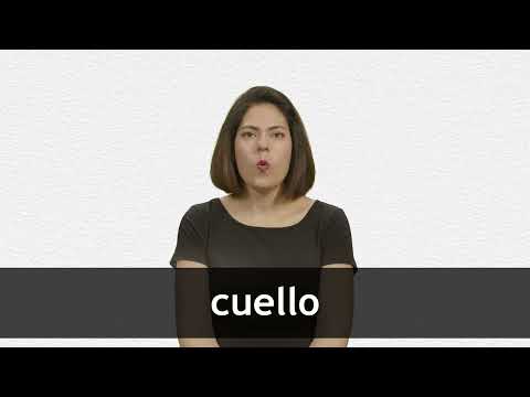 English Translation of “CUELLO” | Collins Spanish-English Dictionary