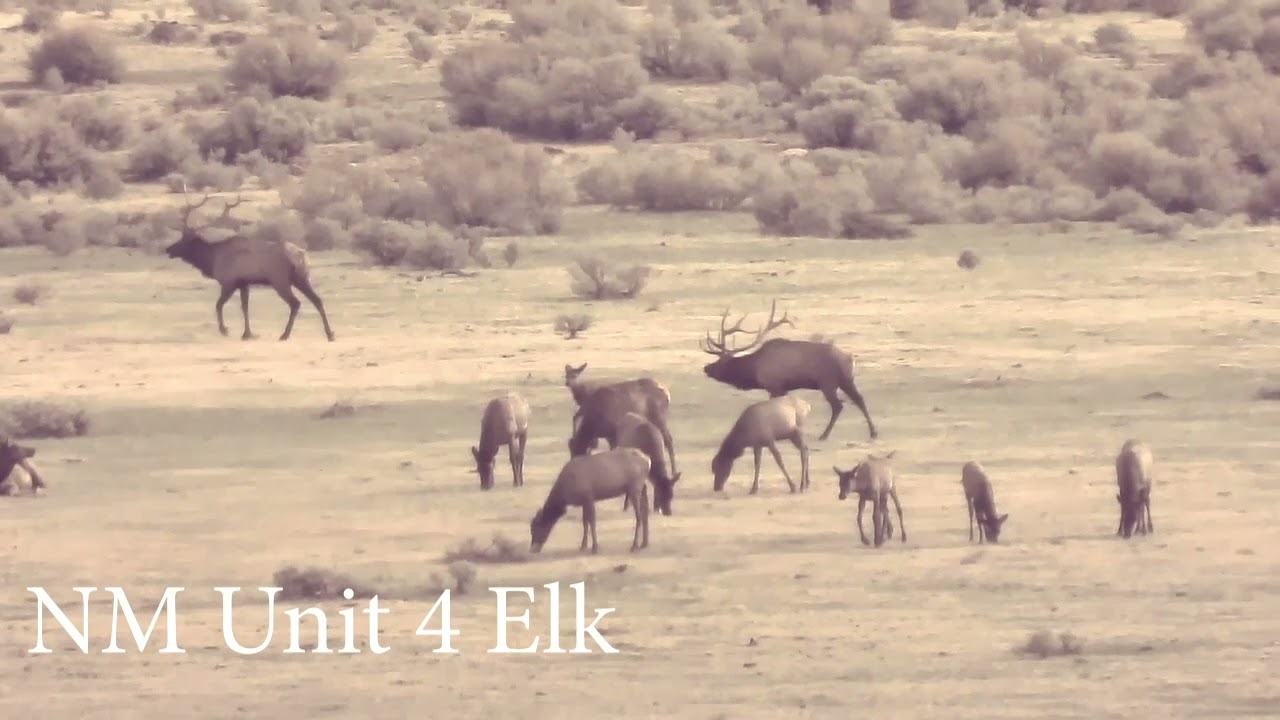 New Mexico GMU Unit 4 Hunting Information