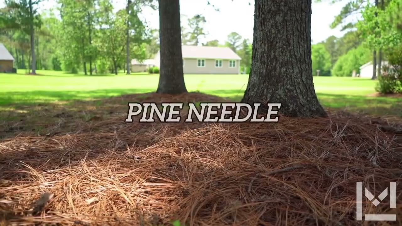 Velasquez Landscaping LLC commercial