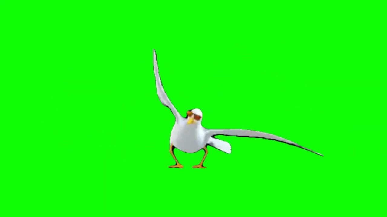 Gmod seagull dancing meme Green Screen
