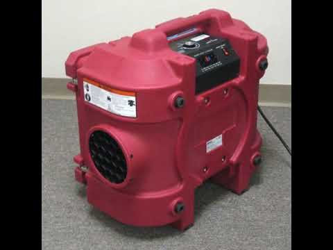 Proper Mold Removal Techniques