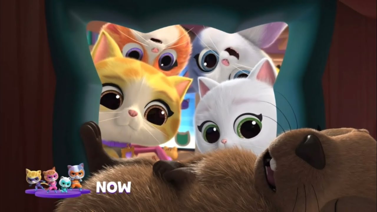 SuperKitties - “Now” Screen Bug | Disney Junior