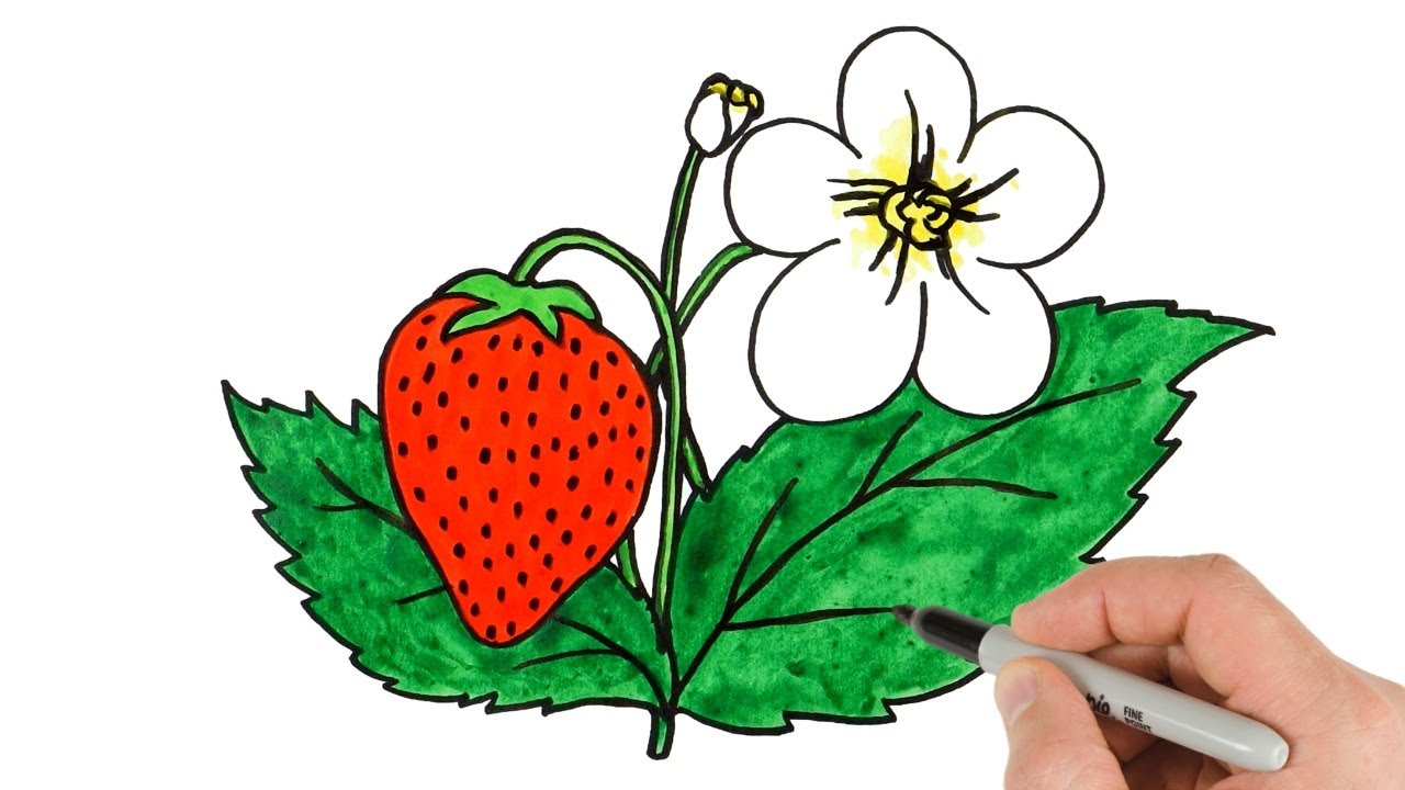 How to Draw Strawberry Flower | Easy drawing Tutorial