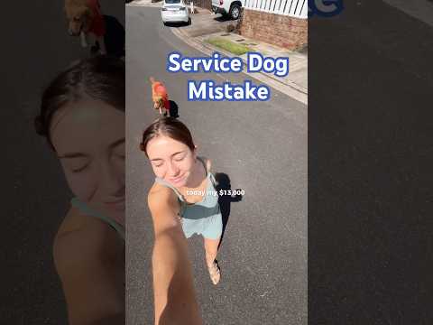 Service Dog Mistake?! #workingdog #servicedog #dogtraining