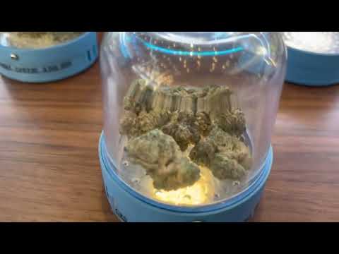 Cookies Canabis Dispensary Las Vegas