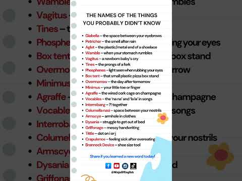 Bet You Didn’t Know These English Words! 🔥 | Learn Something New Today