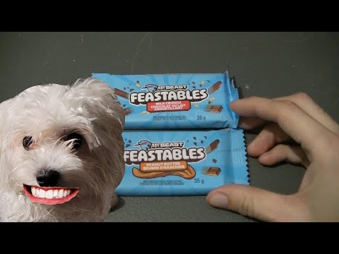 Sunday Gimmick Table #31 – MrBeast Feastables Chocolate Bars – dtm666