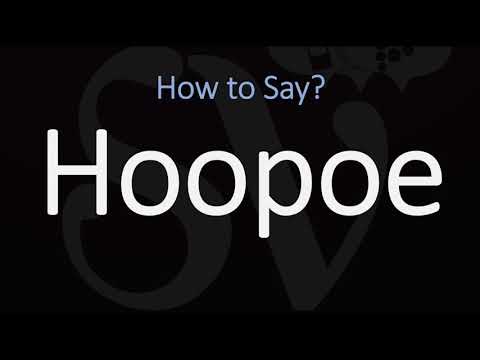 How to Pronounce Hoopoe? (2 WAYS!)
