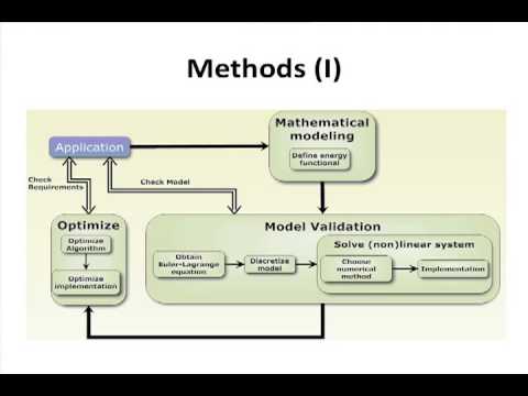 Mathematical methods in biomedical image analysis - Emanuele Schiavi