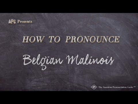 How to Pronounce Belgian Malinois (Real Life Examples!)