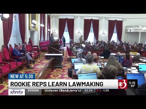 Two rookie reps headed to the House. Here's what they learned