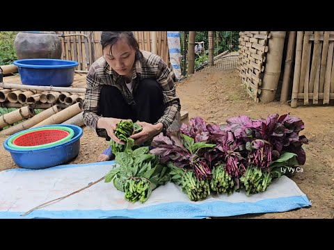 Harvesting agricultural products to improve life. Advice from a kind woman. Ly Vy Ca